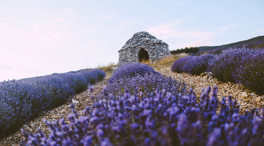 Baronnies provençales : dans la Provence boudée des touristes